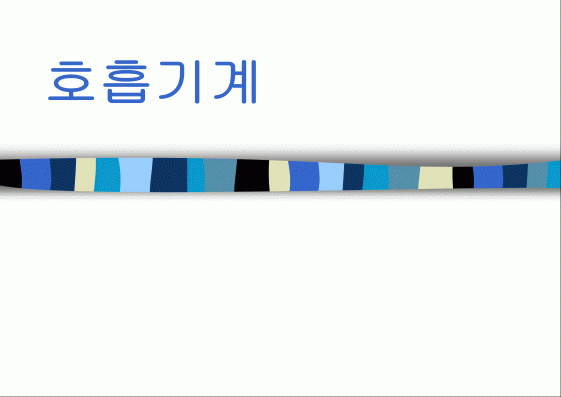건강사정 호흡기계 파트 파워포인트로 정리