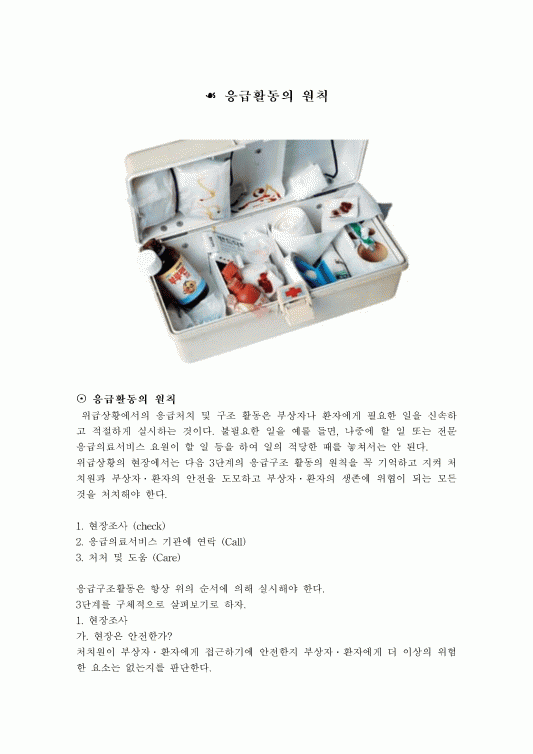 응급활동의 원칙