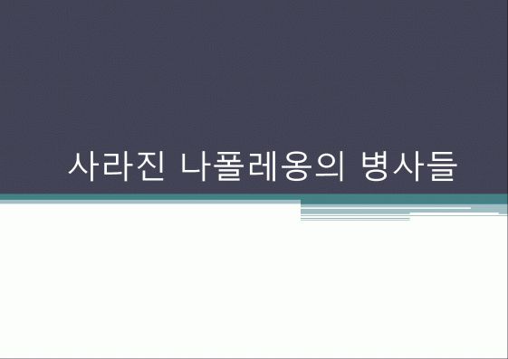 사라진 나폴레옹의 병사들