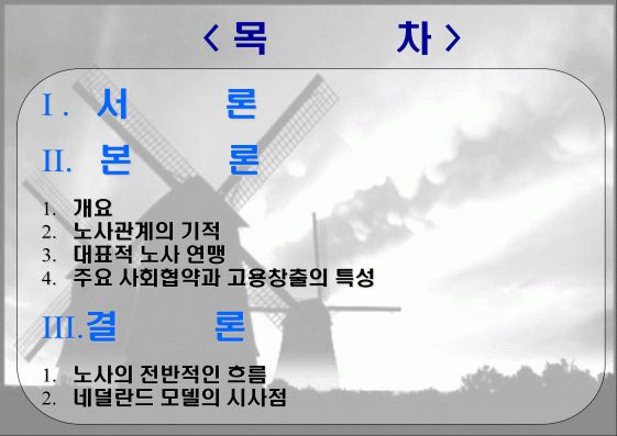 네덜란드 노．사．정 모델의 시사점