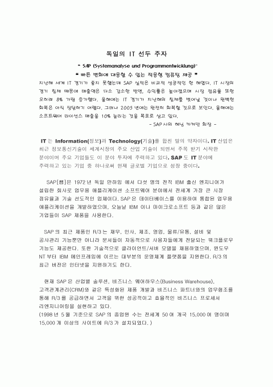 독일의 IT 선두 주자 SAP