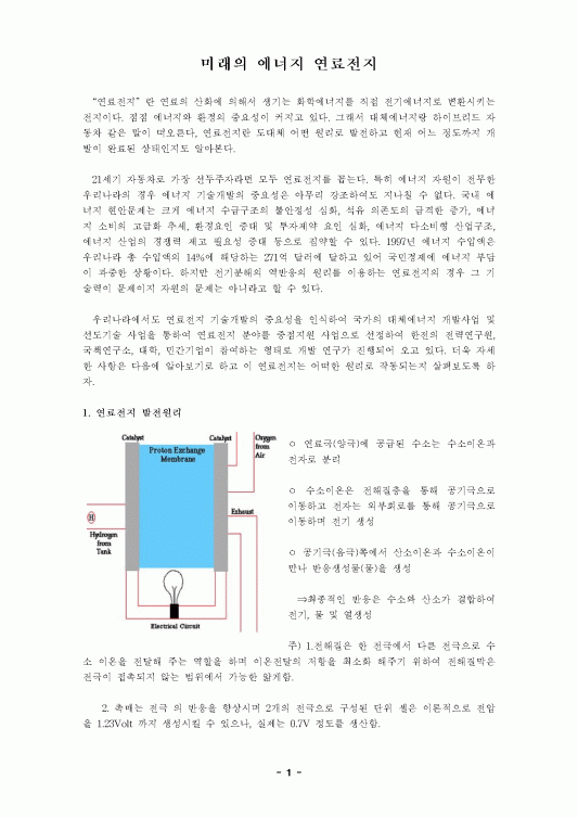 [연료전지] 미래의 연료전지