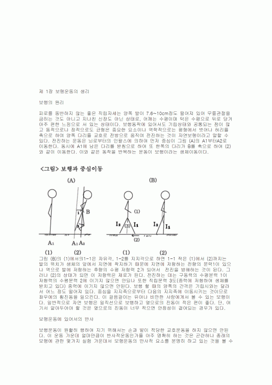 보행 레포트 자료