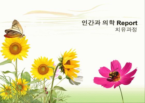 인간과 스포츠 의학 - 치유과정