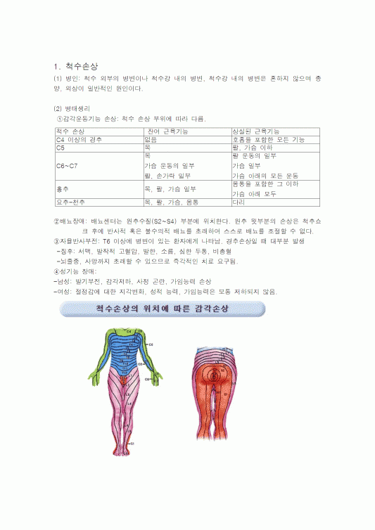 두개내손상,뇌수종,척수손상 정리