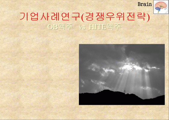 기업사례연구(경쟁우위전략) OB맥주   vs  HITE맥주
