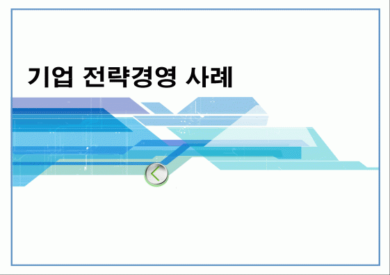 기업 전략경영 사례 - 동서식품