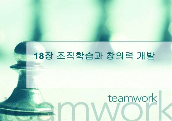 (조직행동론)18장 조직학습과 창의력 개발