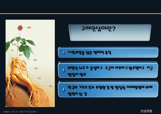 정관장 마케팅분석과 제품분석