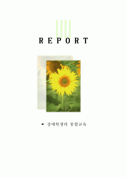 [사범/법학] 장애학생의 통합교육