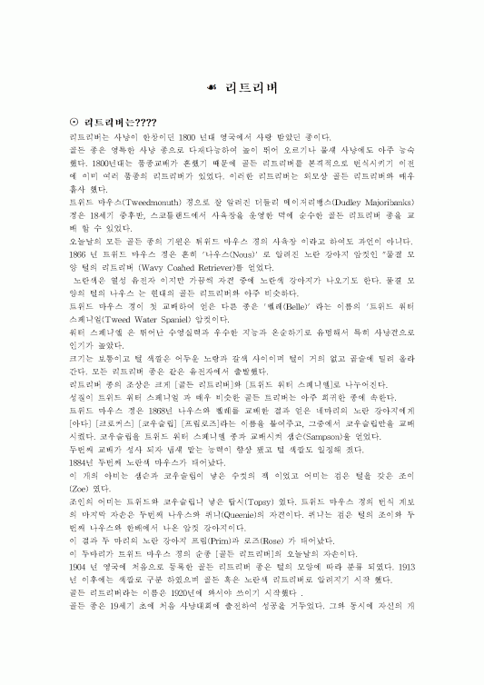 애완동물 - 리트리버