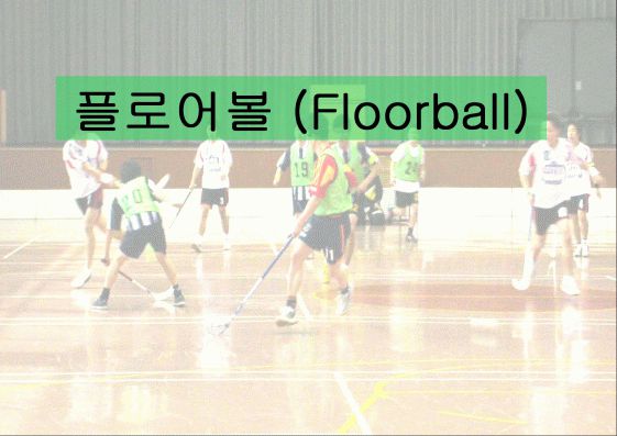 플로어볼 (Floorball)