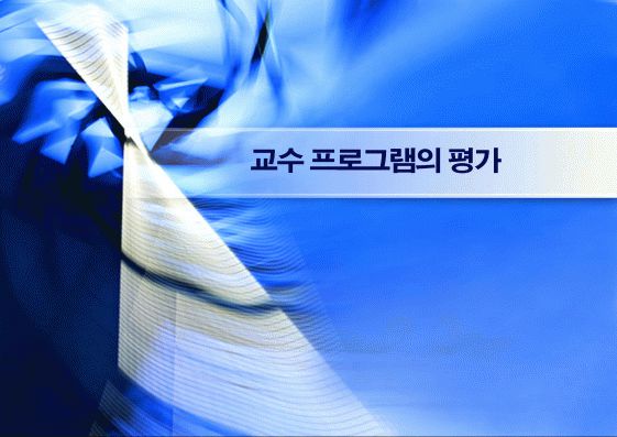 교수 프로그램의 평가