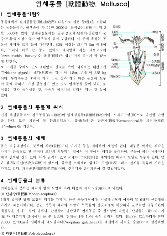 연체동물 레포트 자료