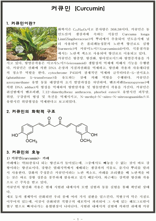 커큐민(Curcumin)의 화학적 구조와 효능