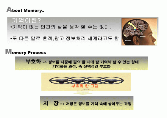 유아기의 기억발달 ppt