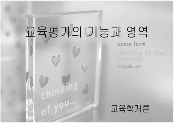 교육평가의 기능과 영역