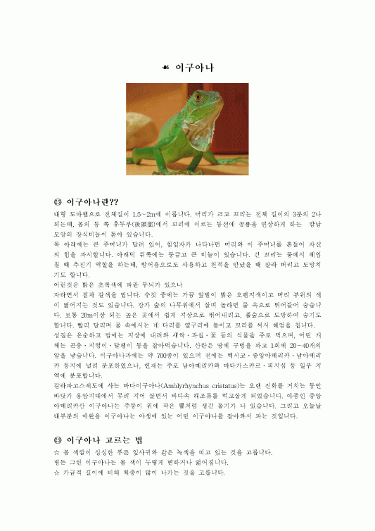 이구아나 레포트 자료
