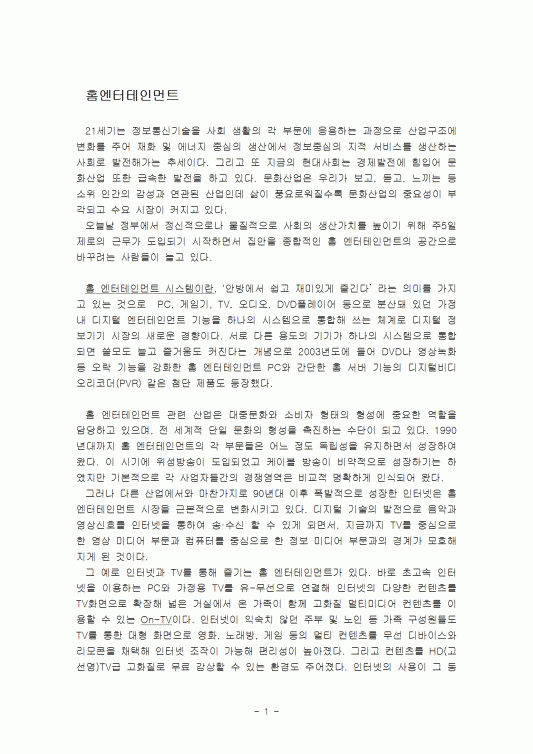 홈엔터테인먼트에 관한 나의 견해