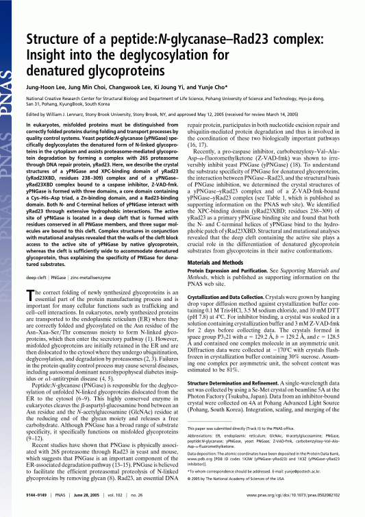 Structure of a peptide : N-glycanase-Rad23 complex: Insight into the deglycosylation for denatured glycoproteins