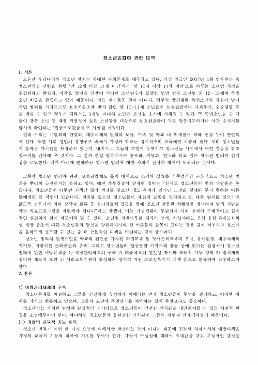 청소년 범죄에 대한 대책