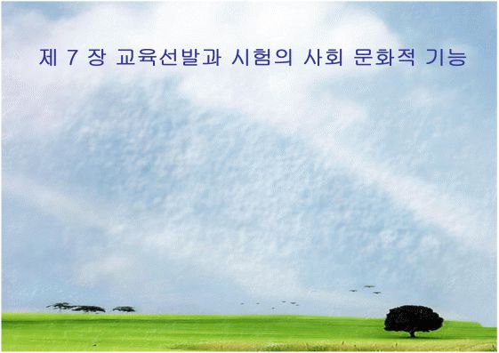 교육선발과 시험의 사회문화적 기능