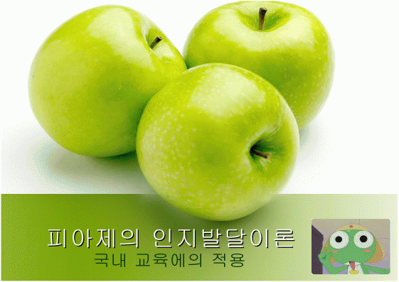 피아제(Piaget)의 인지발달이론, 국내교육에의 적용