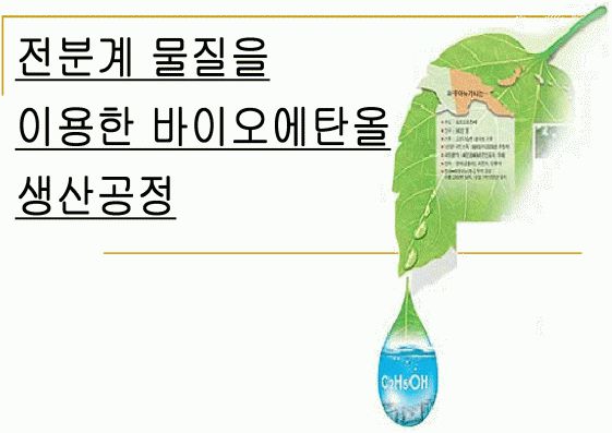 [ppt 자료] 전분계 물질을 이용한 바이오에탄올 생산공정