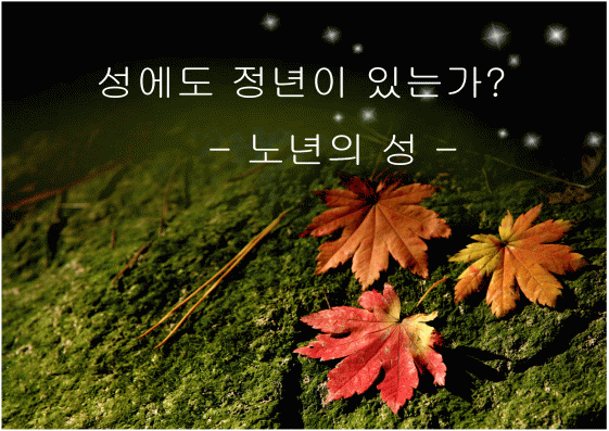 [인문과학] 노년의 성(性)문제, 性에도 정년이 있는가