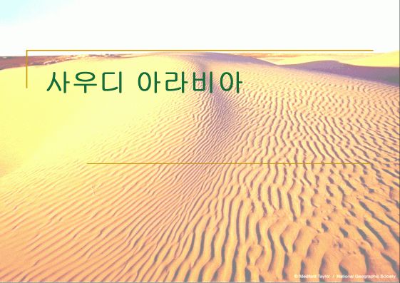 사우디 아라비아 분석 자료