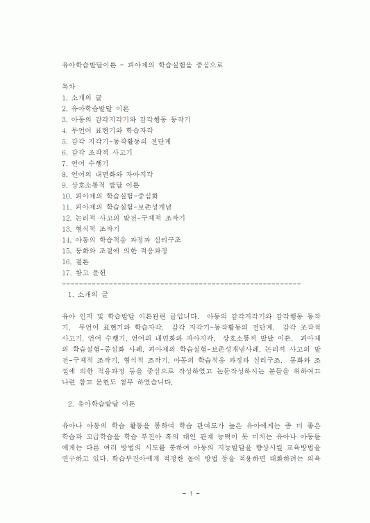 유아학습발달이론