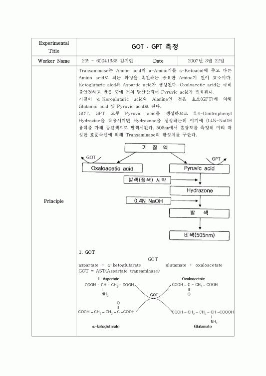 GOT . GPT 측정 레포트 자료