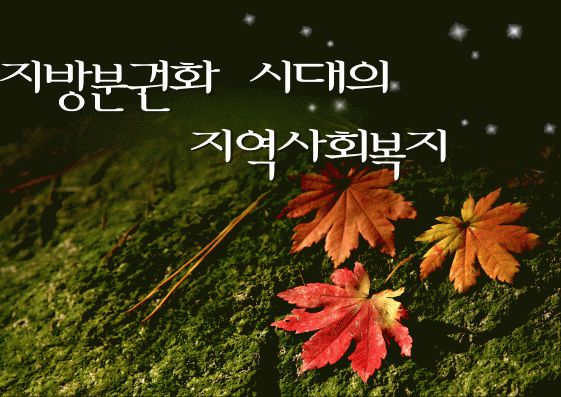 지방 분권화 시대의 지역사회복지