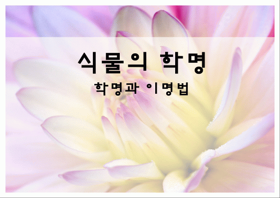 식물의 학명 레포트 자료