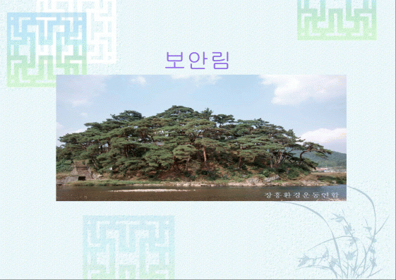 보안림의 정의 기능과 종류