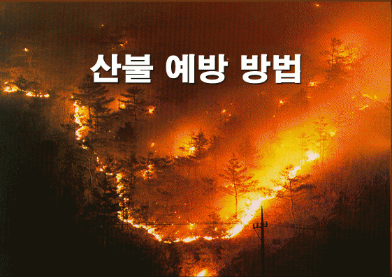 산불 예방 방법