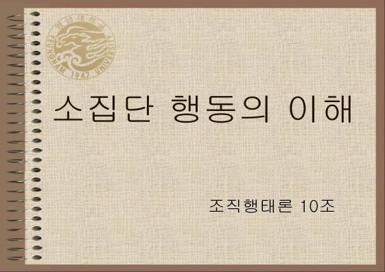 소집단 행동의 이해
