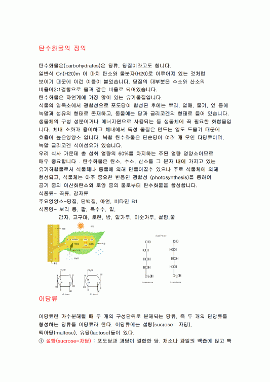 영양학) 탄수화물에 관하여