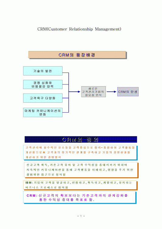 CRM 원론 레포트 자료