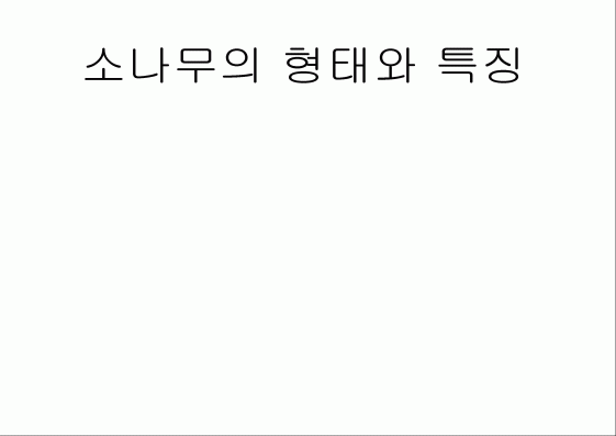 소나무의 형태와 특징