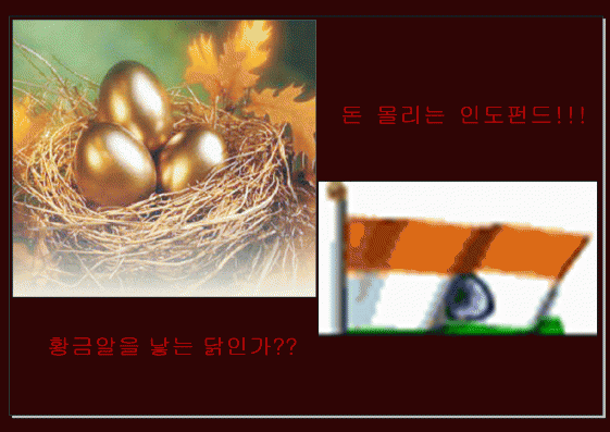 돈 몰리는 인도펀드 과연 황금알을 낳는 닭인가?