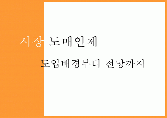 시장도메인제에 대하여