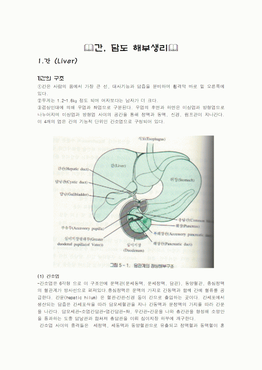 간, 담도 해부생리&진단적검사