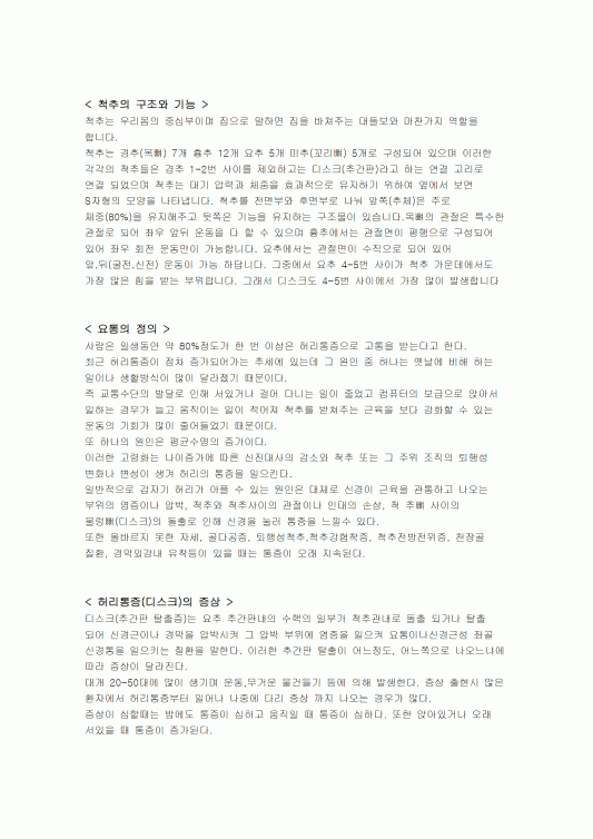 요통에 관한 레포트