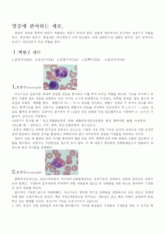 염증에 관여하는 세포
