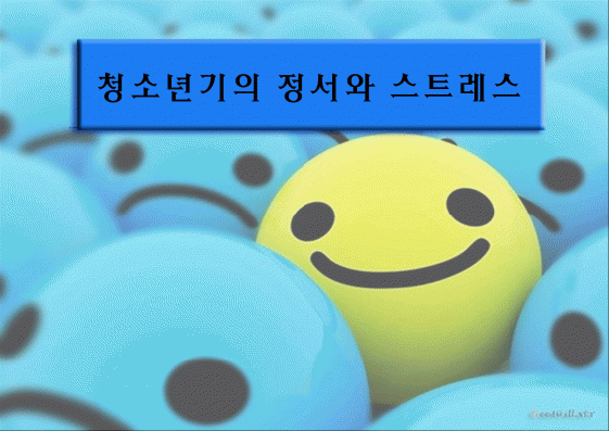 청소년기의 정서와 스트레스