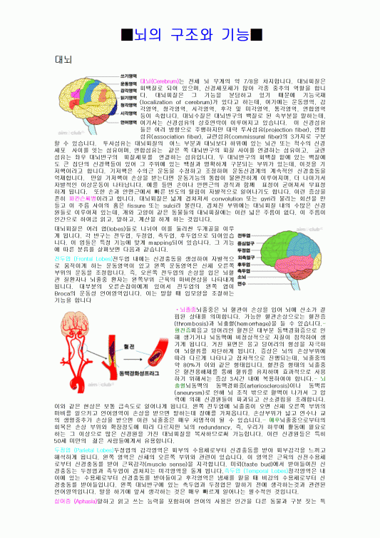 뇌의 구조와 기능 [의약학]