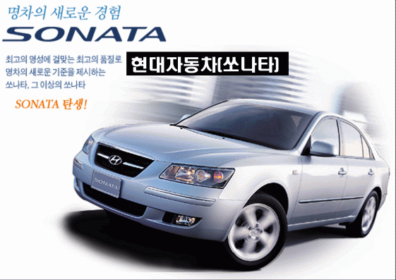 쏘나타 NF 마케팅기법