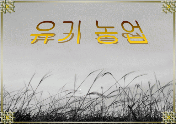유기 농업 레포트 자료