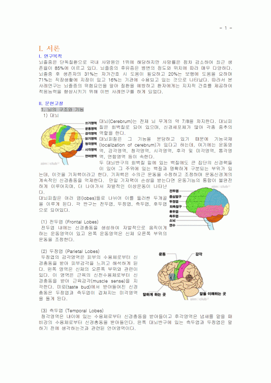 뇌졸중 사례연구